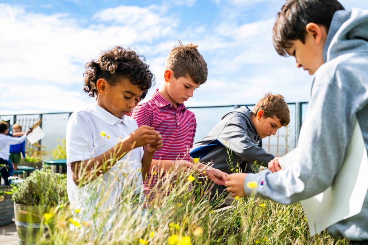 Admission at Town | Town School